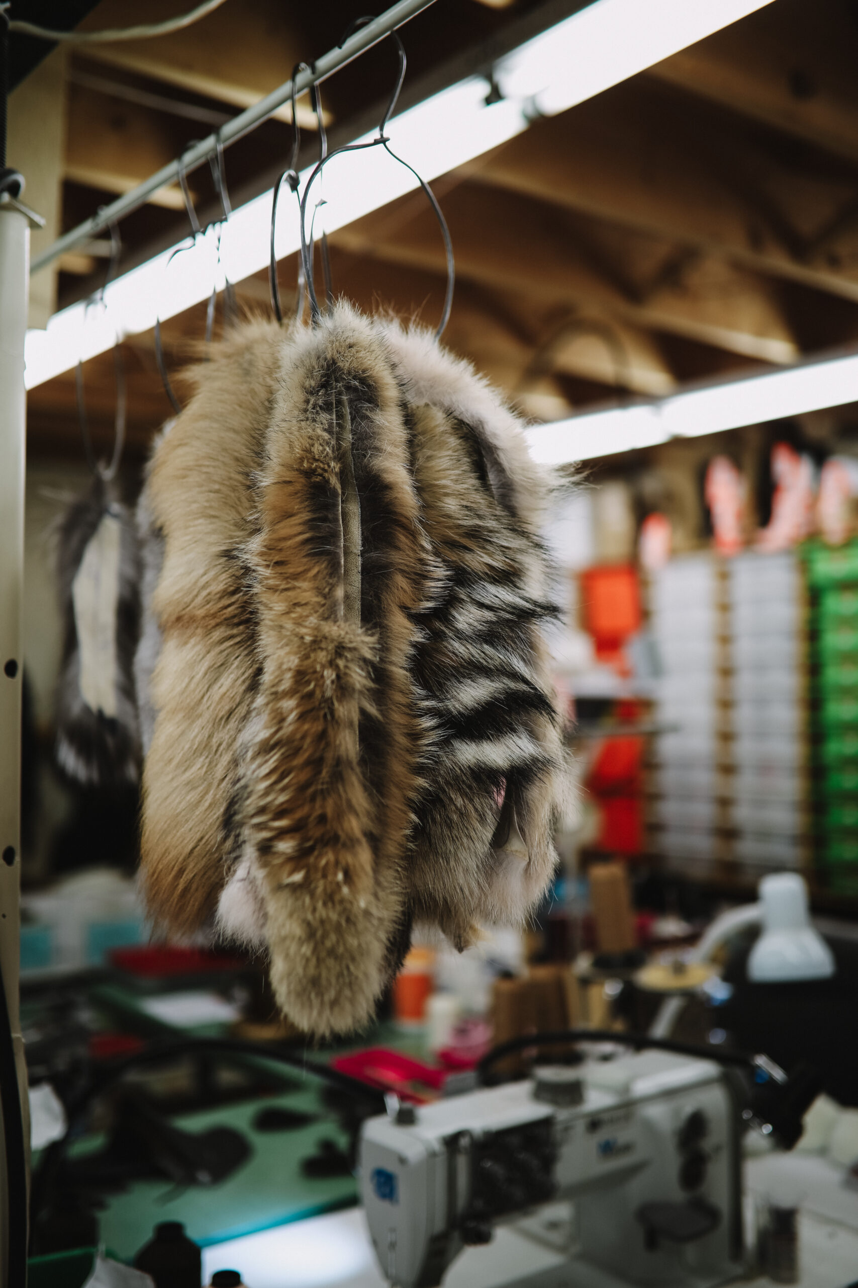 The importance of trapping in Canada | Blog| Fourrures Grenier